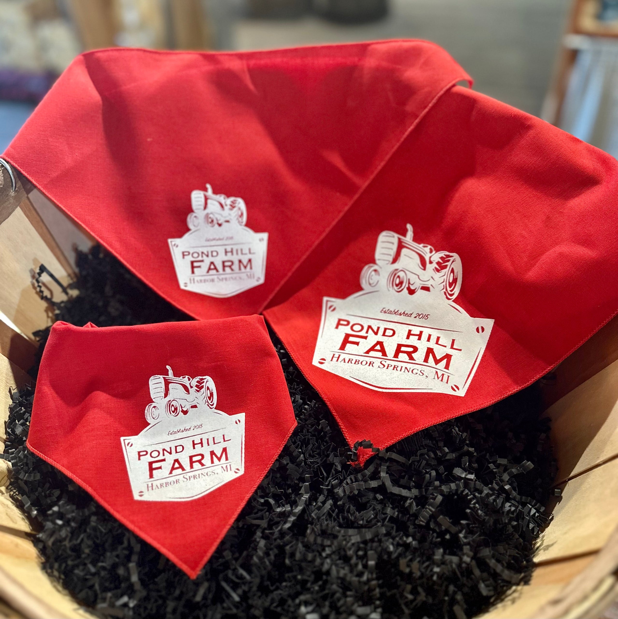 Pond Hill Pup Bandana | Pond Hill Farm